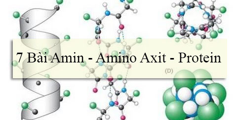 Amin - Amino Axit - Protein - Bài tập tham khảo | Hóa học THPT